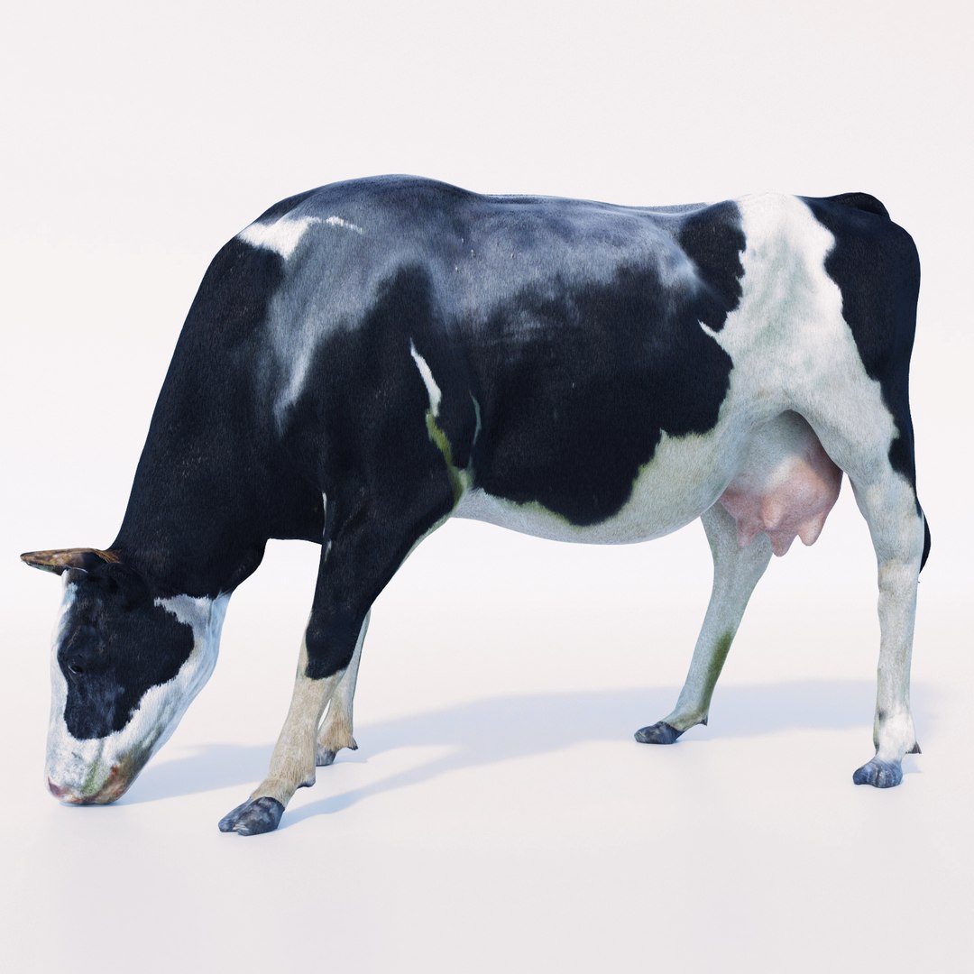 3D Cow - TurboSquid 1363266