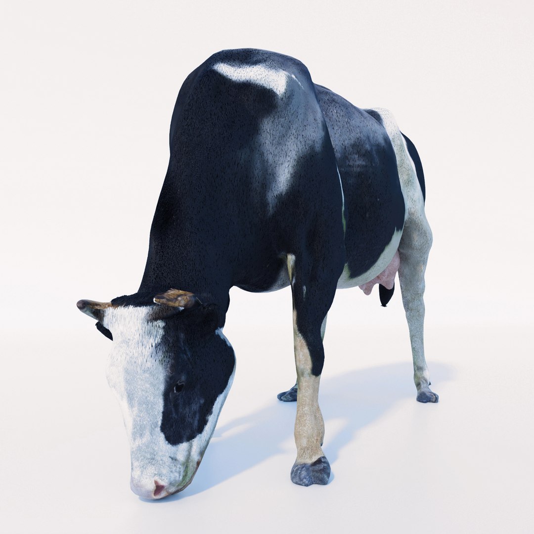 3D Cow - TurboSquid 1363266