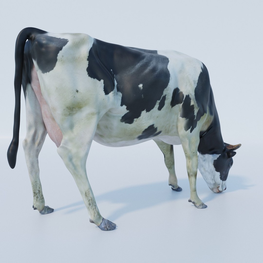 3D Cow - TurboSquid 1363266