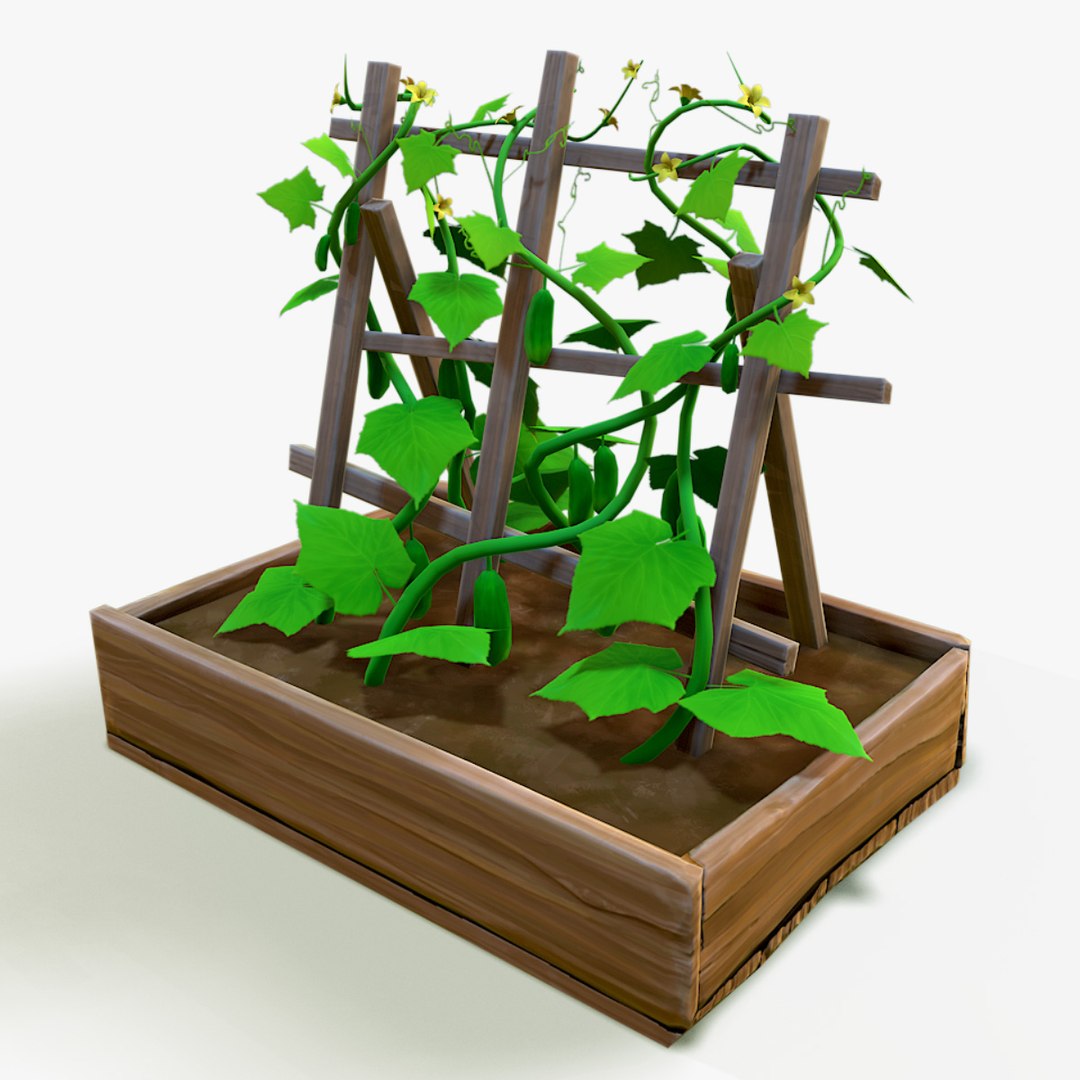 Cucumbers 3D model - TurboSquid 2064441