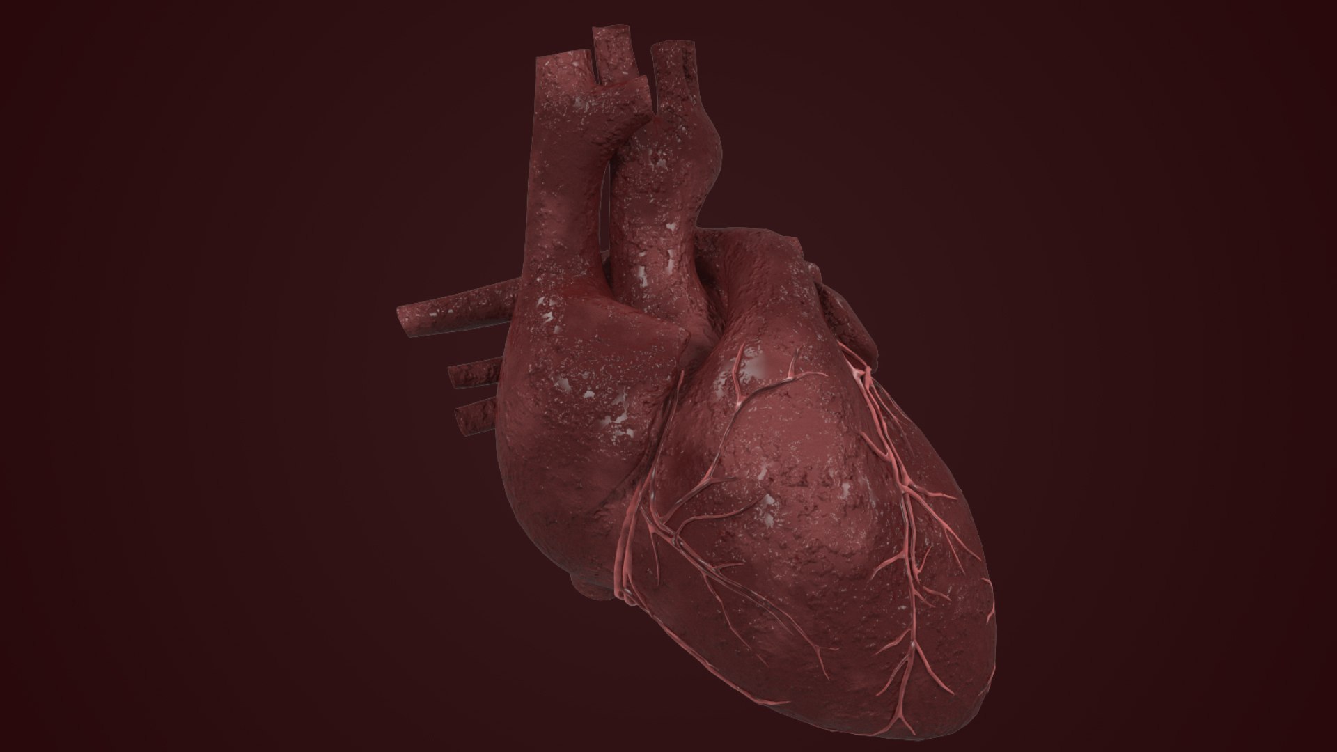 Realistic Human Heart 3d Max