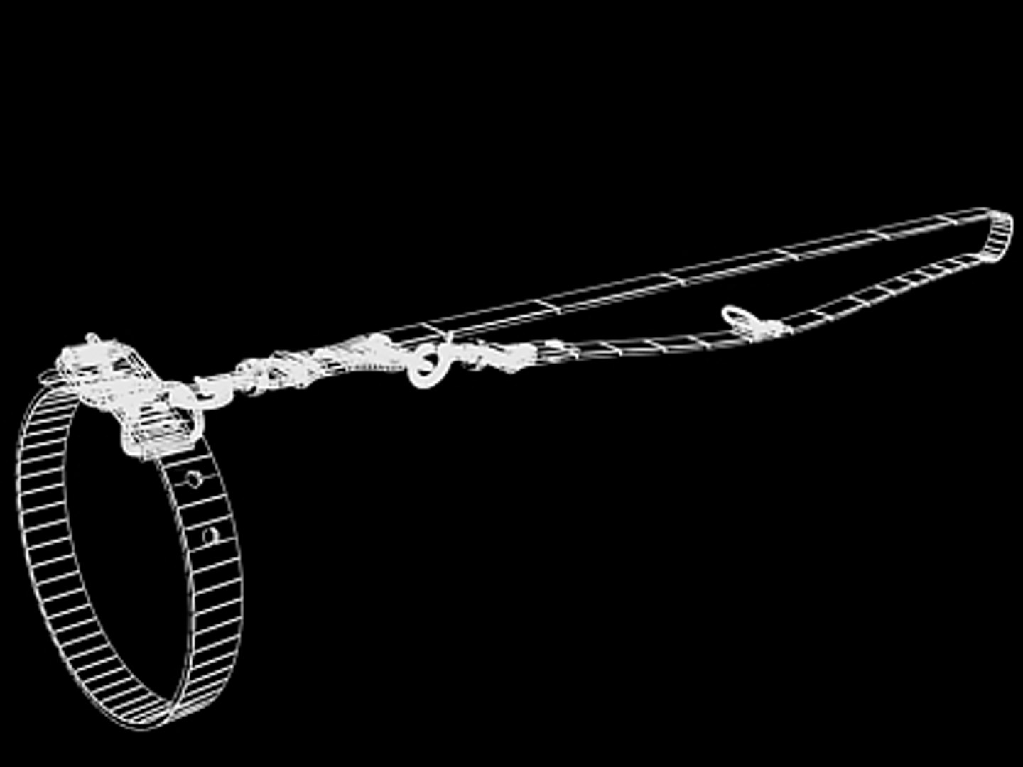 Dog Muzzle Collar 3ds