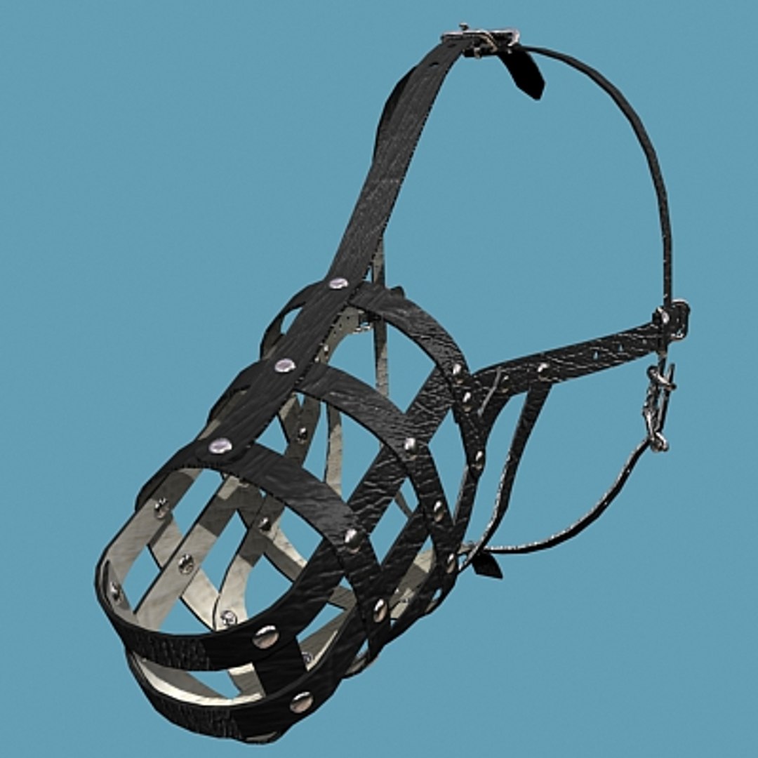 Dog Muzzle Collar 3ds