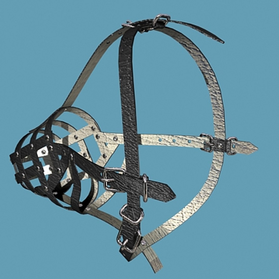 Dog Muzzle Collar 3ds
