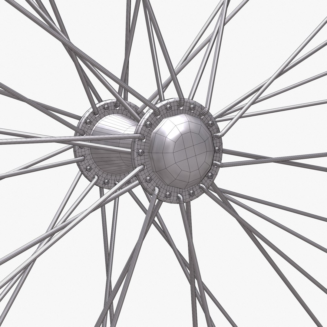 Wheelchair Wheel 3d Model