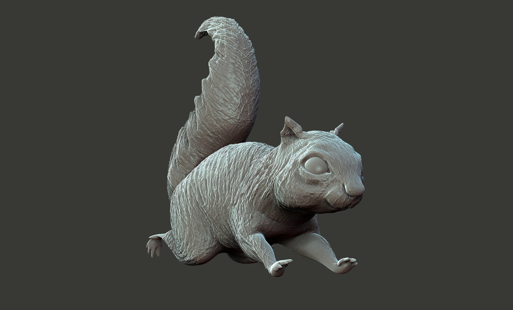 Squirrel 3D - TurboSquid 1822211
