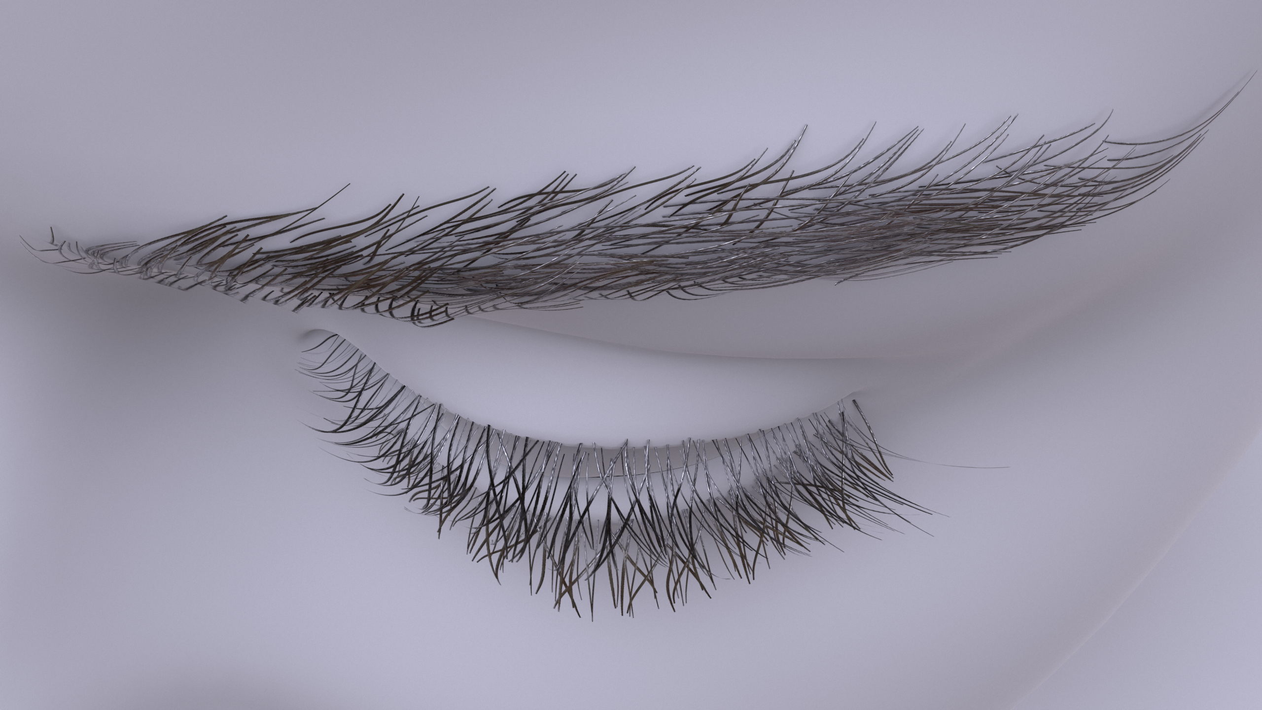 3D Womans and Mens Eyelashes with Eyebrows - TurboSquid 1889318
