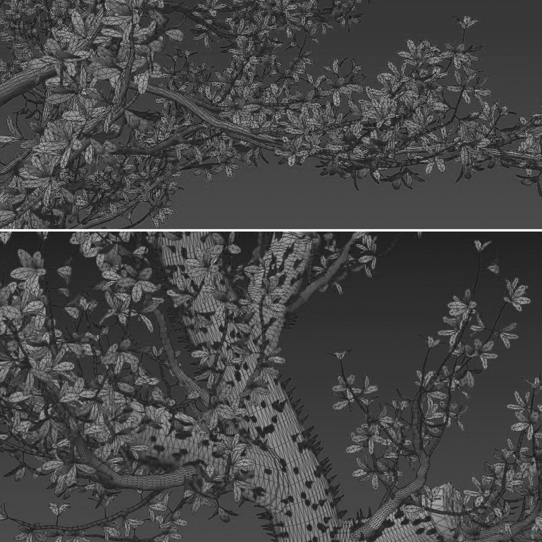 Set Of Bombax Ceiba Or Cotton Trees 3D Model - TurboSquid 1969937
