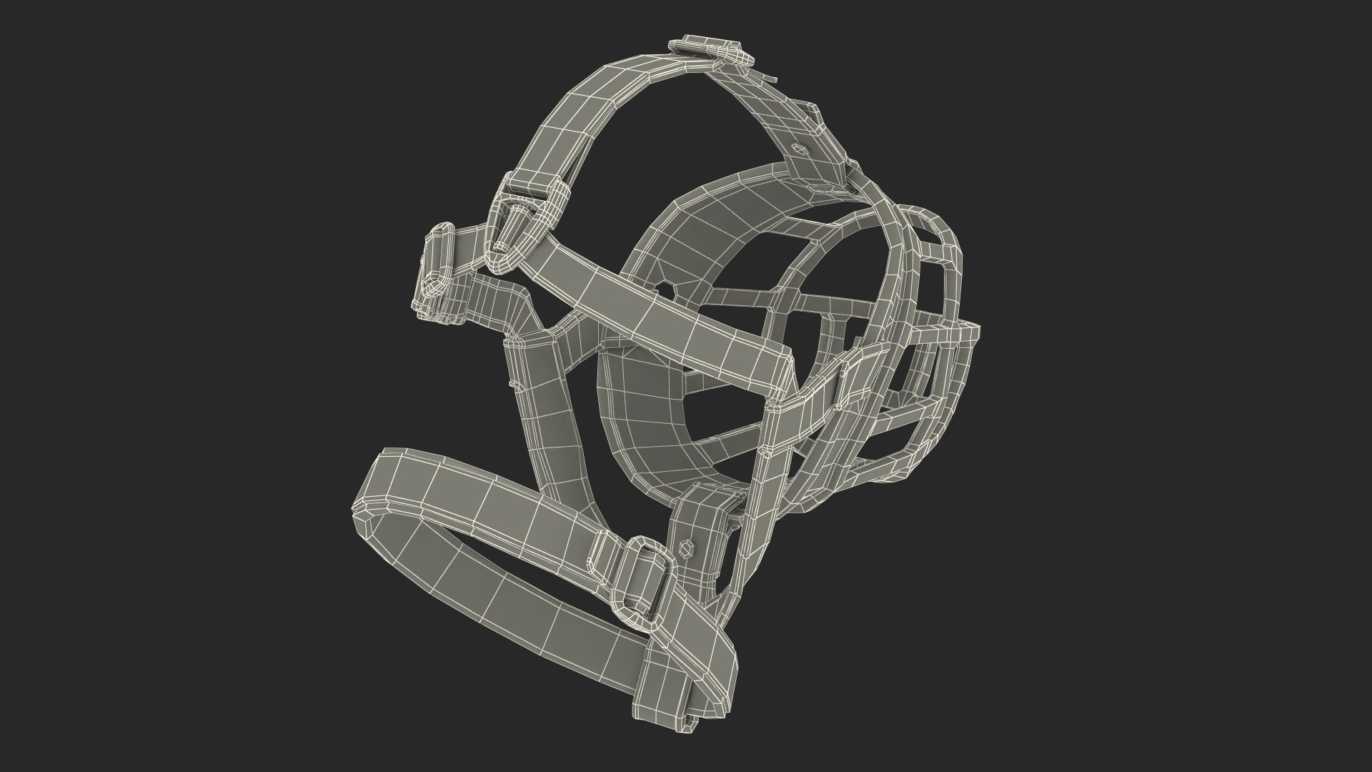 Baskerville Muzzle For Xoloitzcuintli 3D - TurboSquid 2284092