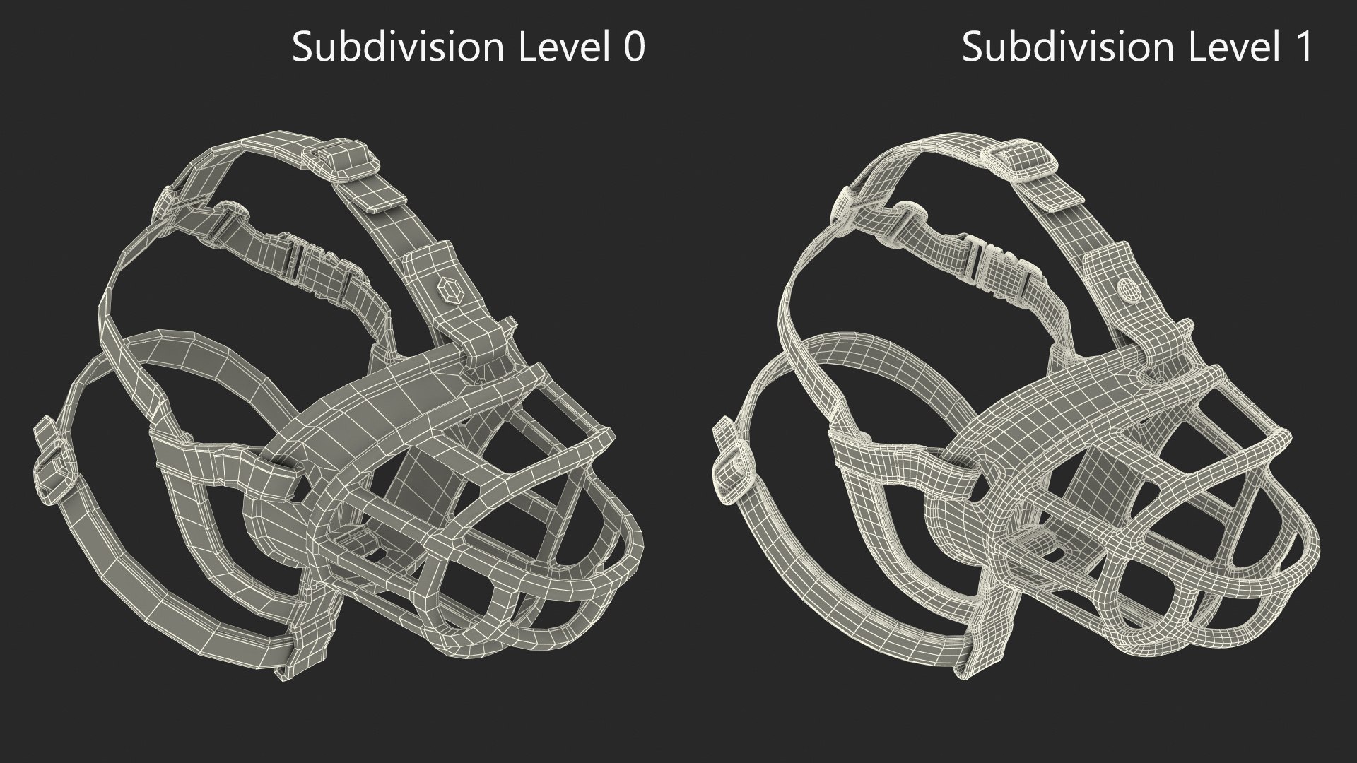 Baskerville Muzzle For Xoloitzcuintli 3D - TurboSquid 2284092