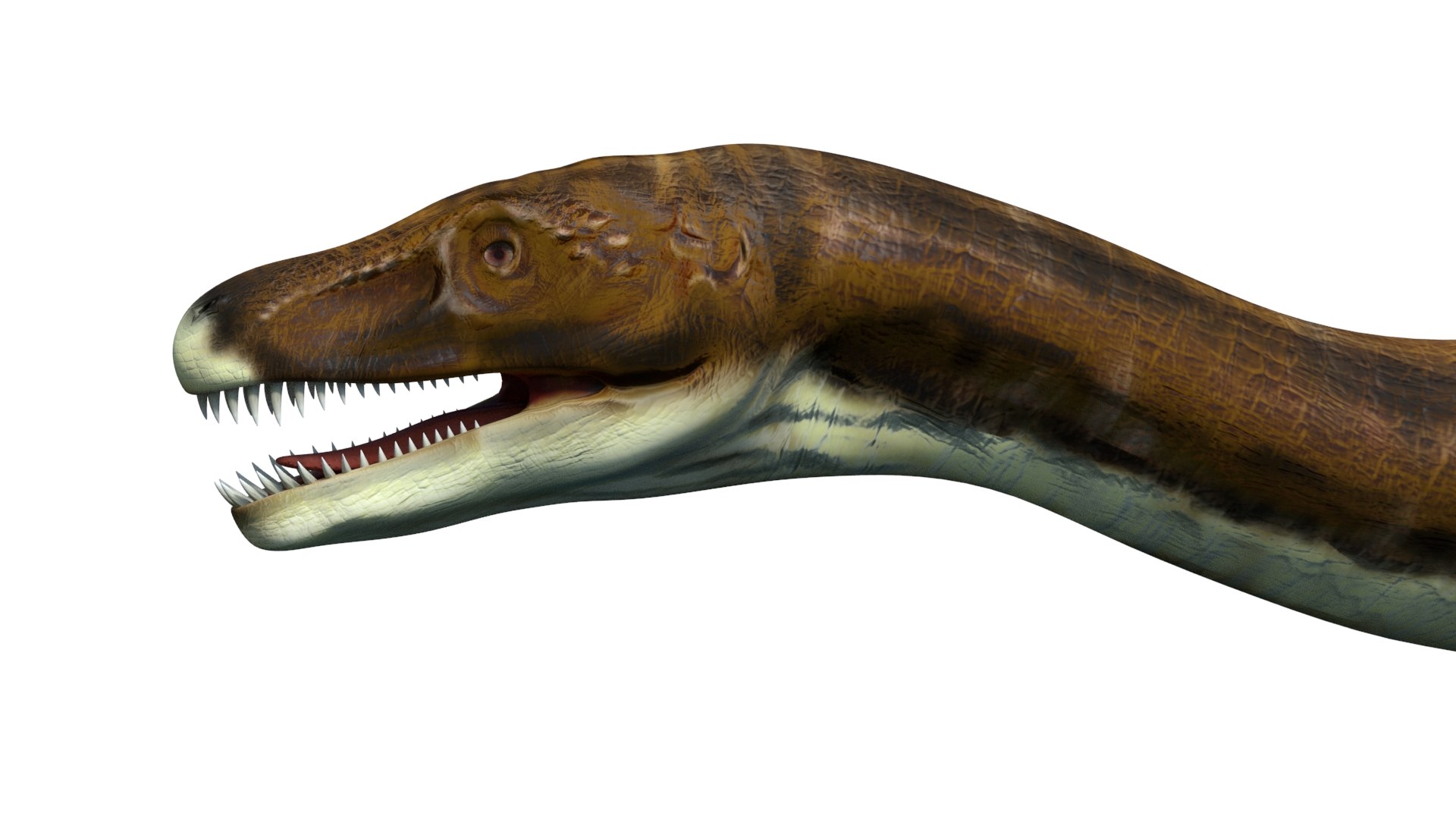 Bishanopliosaurus Dinosaur Jurassic Animal 3D Model - TurboSquid 2337630