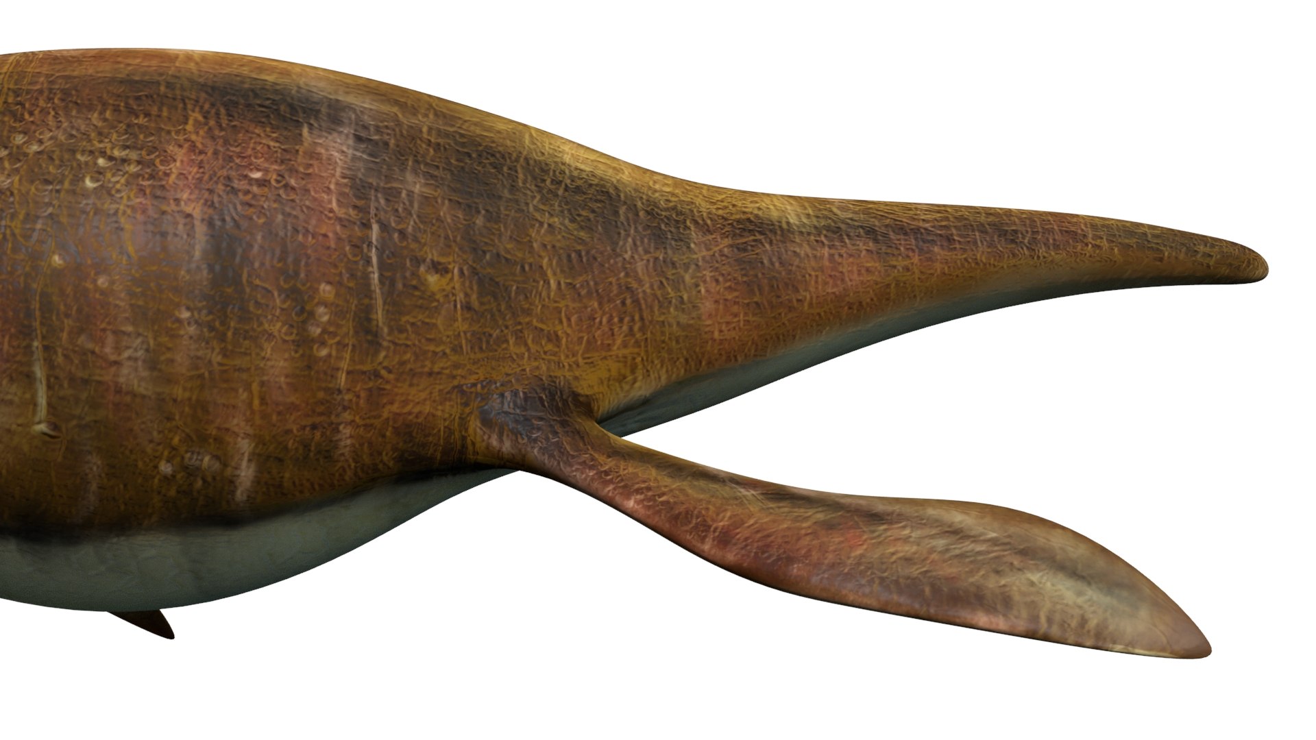 Bishanopliosaurus Dinosaur Jurassic Animal 3D Model - TurboSquid 2337630