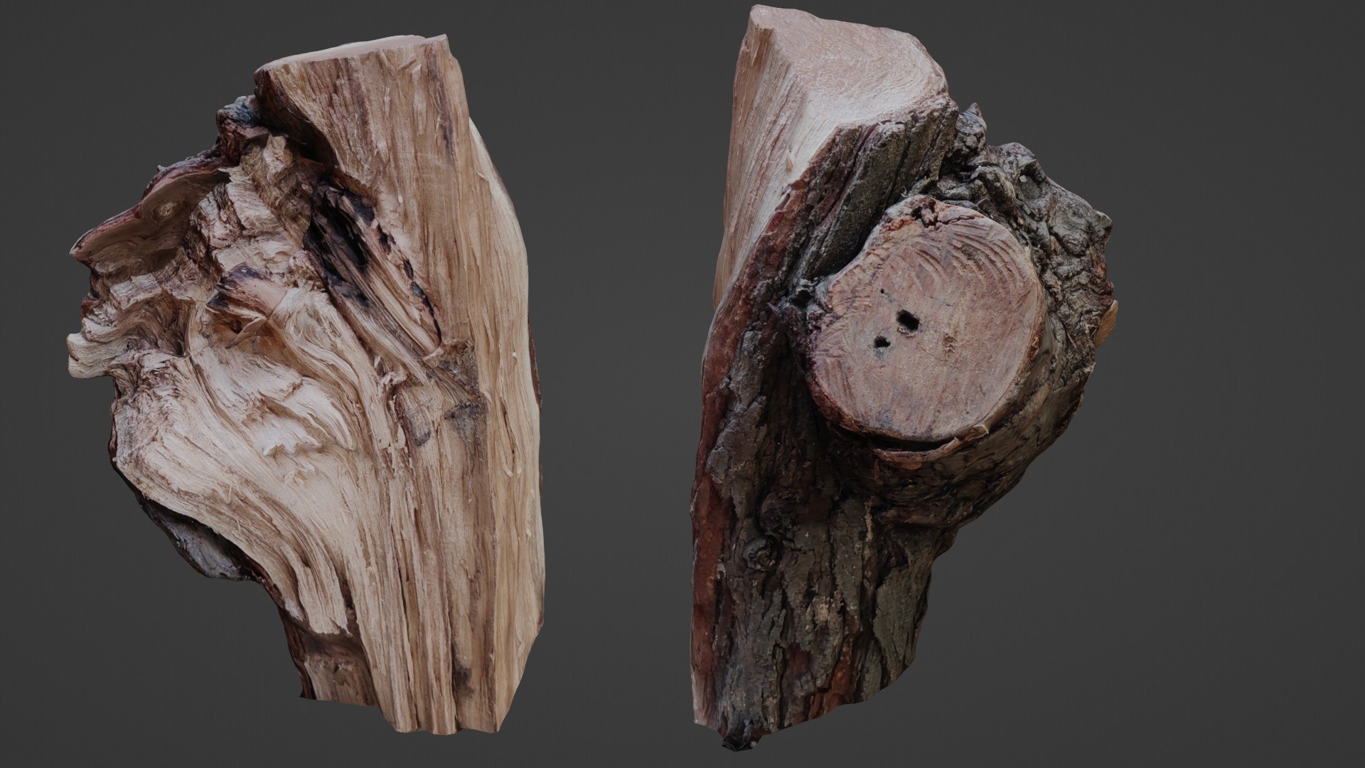 Trunk Cutted Scan 3D Model - TurboSquid 2330328