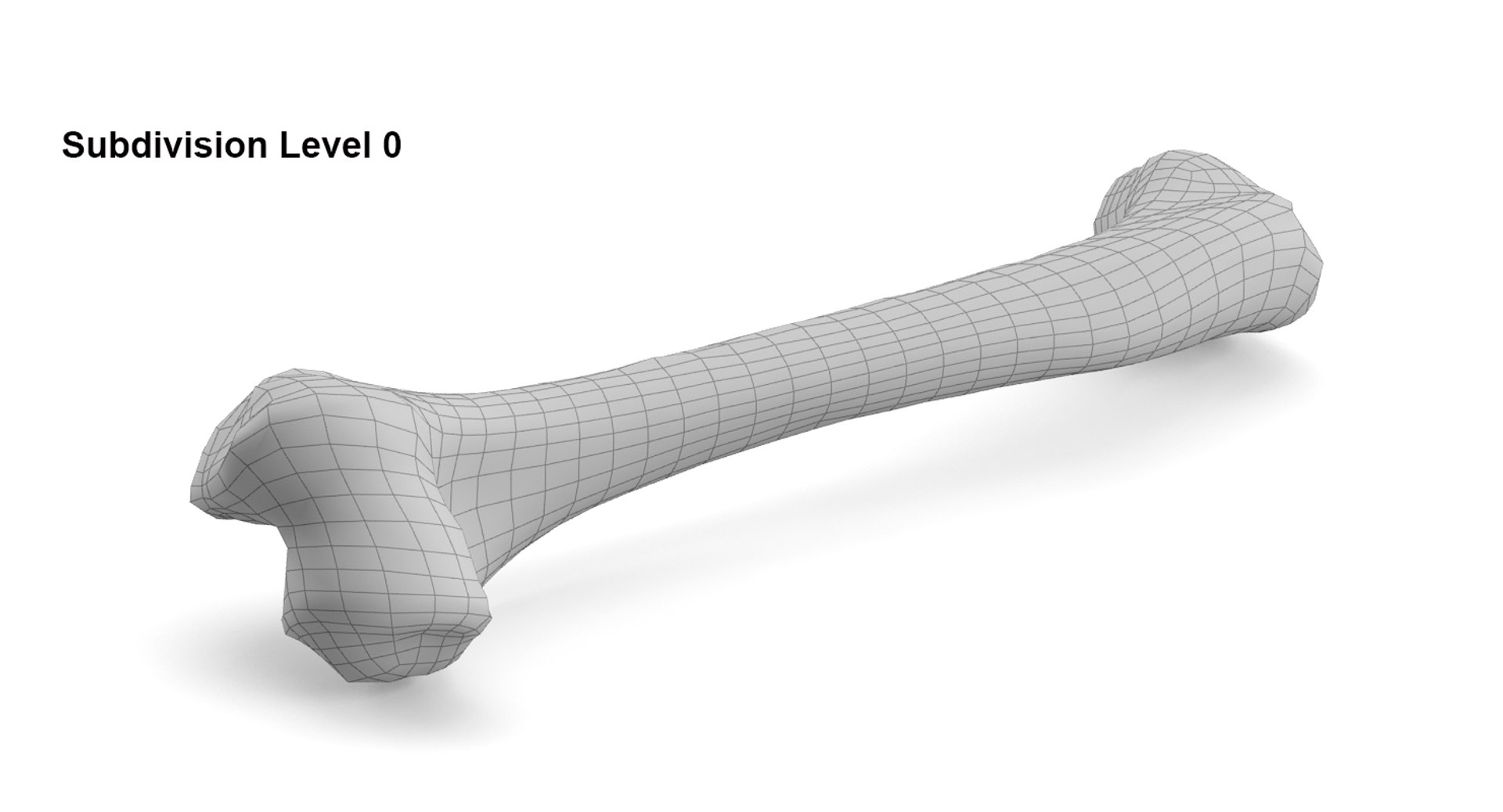 bone animation 3d model