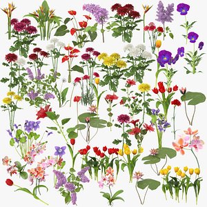 Low Poly 3D Pansy Models For Download | TurboSquid