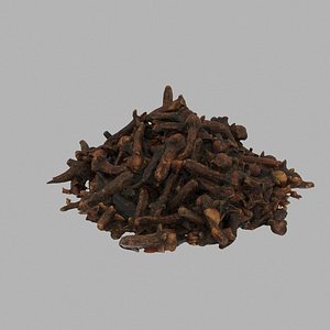 Clove 3D Models for Download | TurboSquid