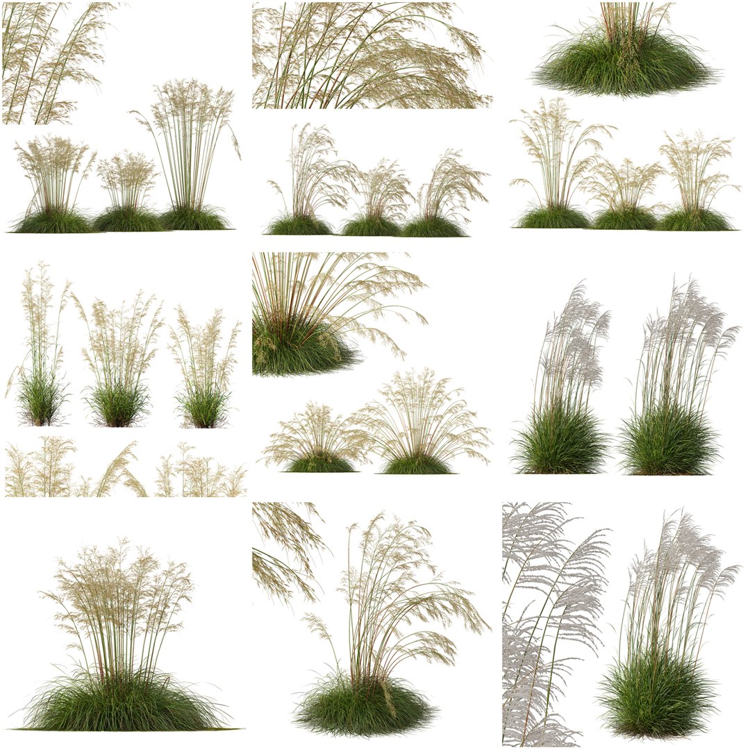 3D 6 Different SETS Of Grass SET VOL07 Model - TurboSquid 2127297