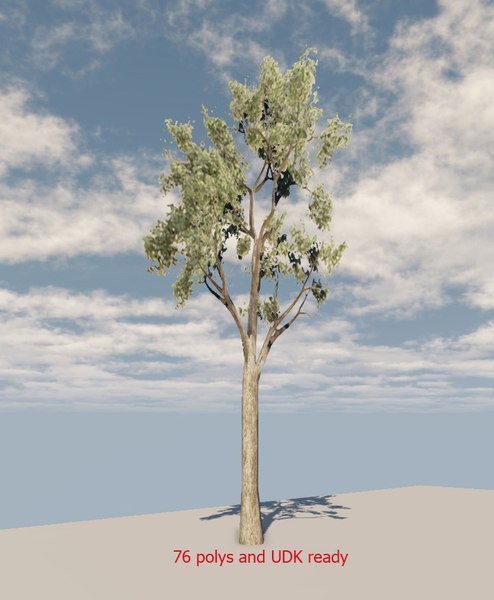 3D Gumtree Models | TurboSquid