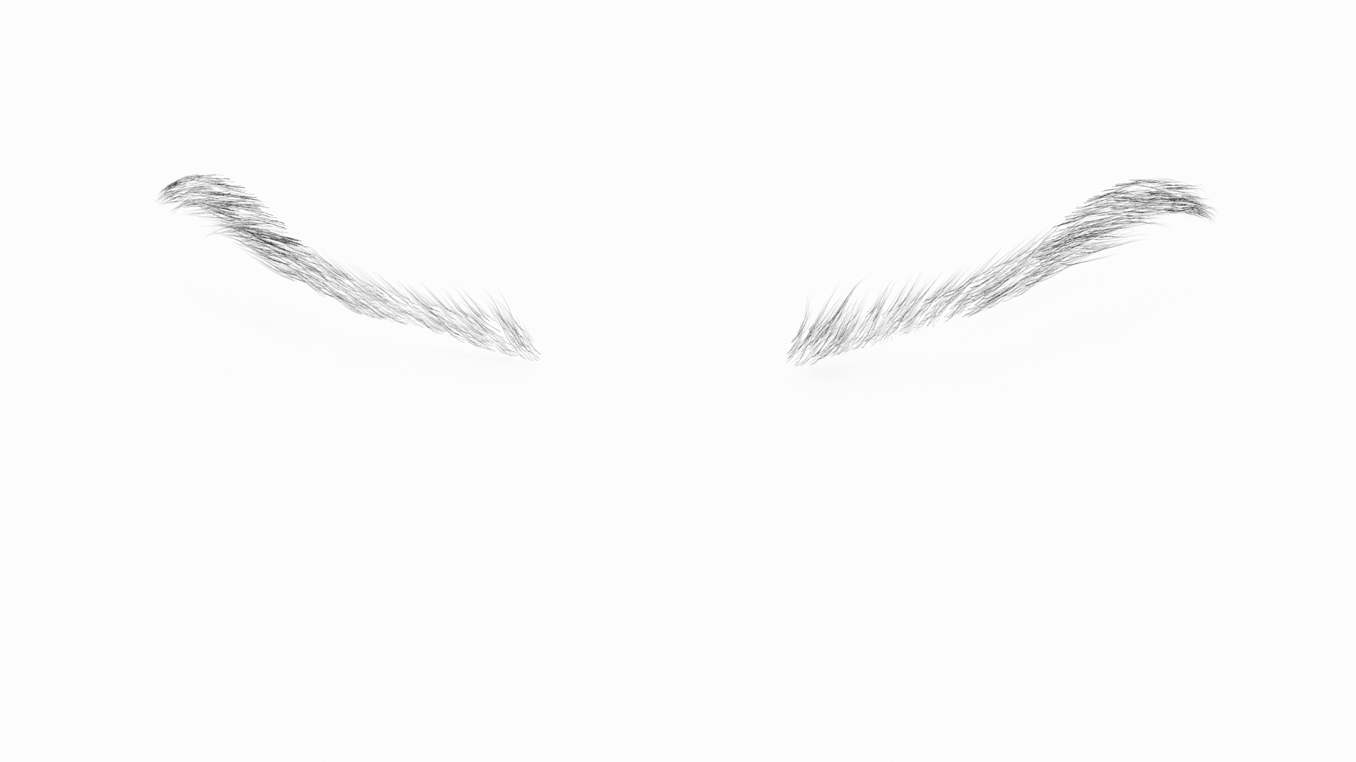Steep Arch Brows 3d Turbosquid 2213158