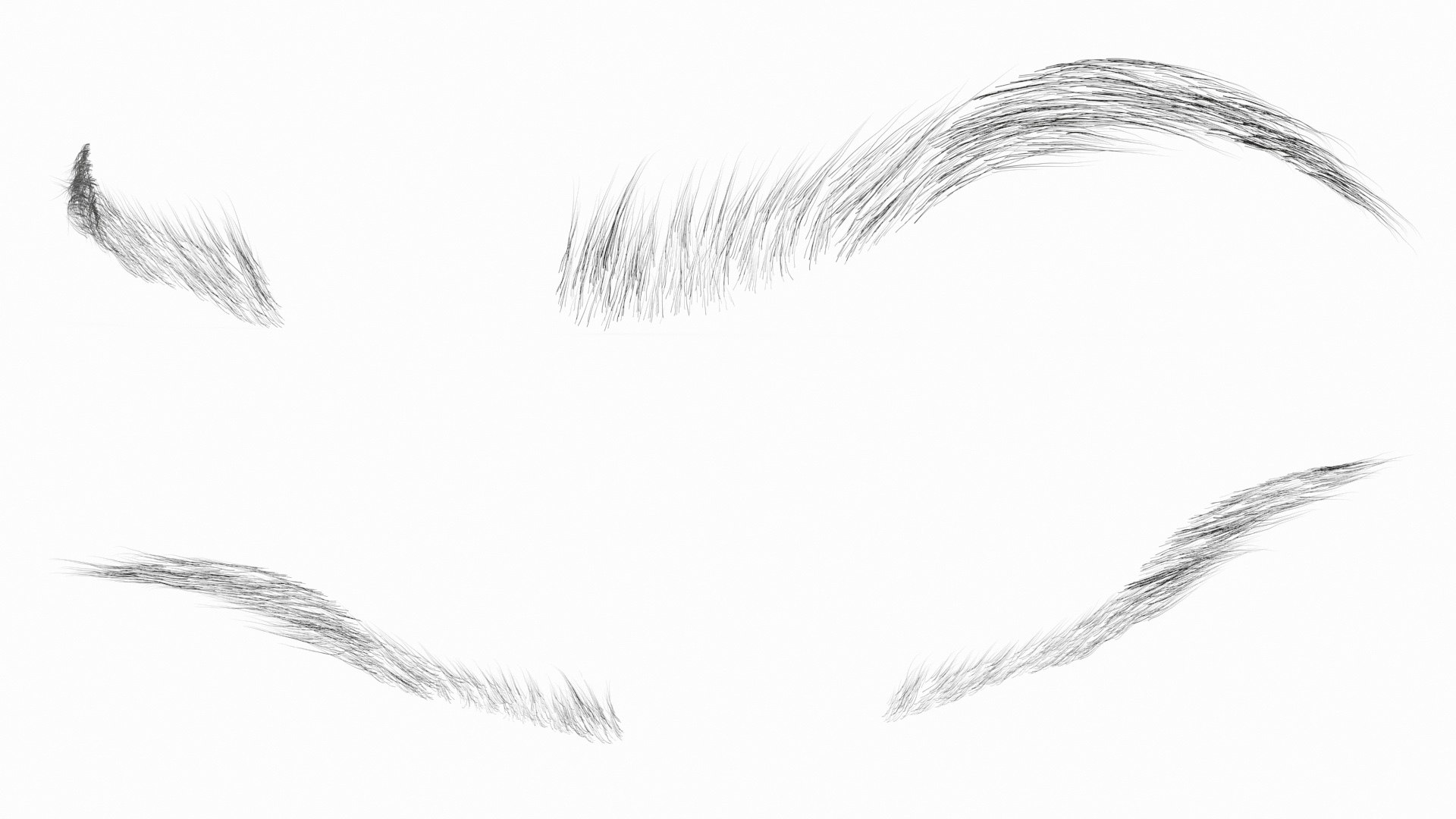 Steep Arch Brows 3d Turbosquid 2213158