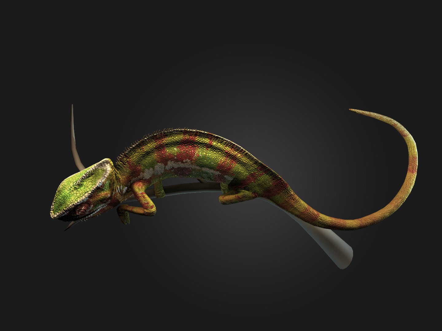 3d Max Rig Chameleon