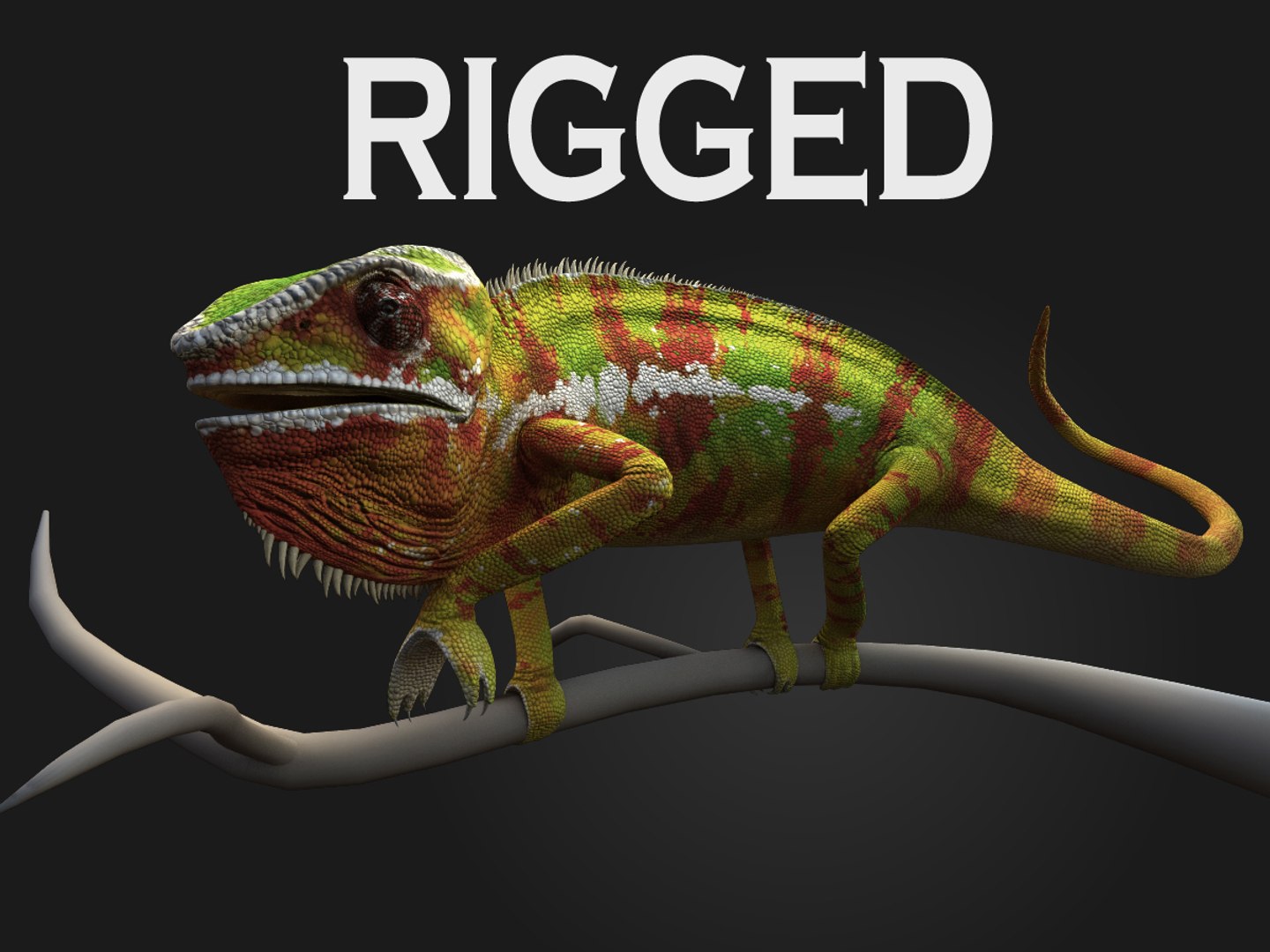 3d Max Rig Chameleon