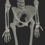3d Max Human Female Skeleton Rigged
