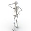 3d Max Human Female Skeleton Rigged