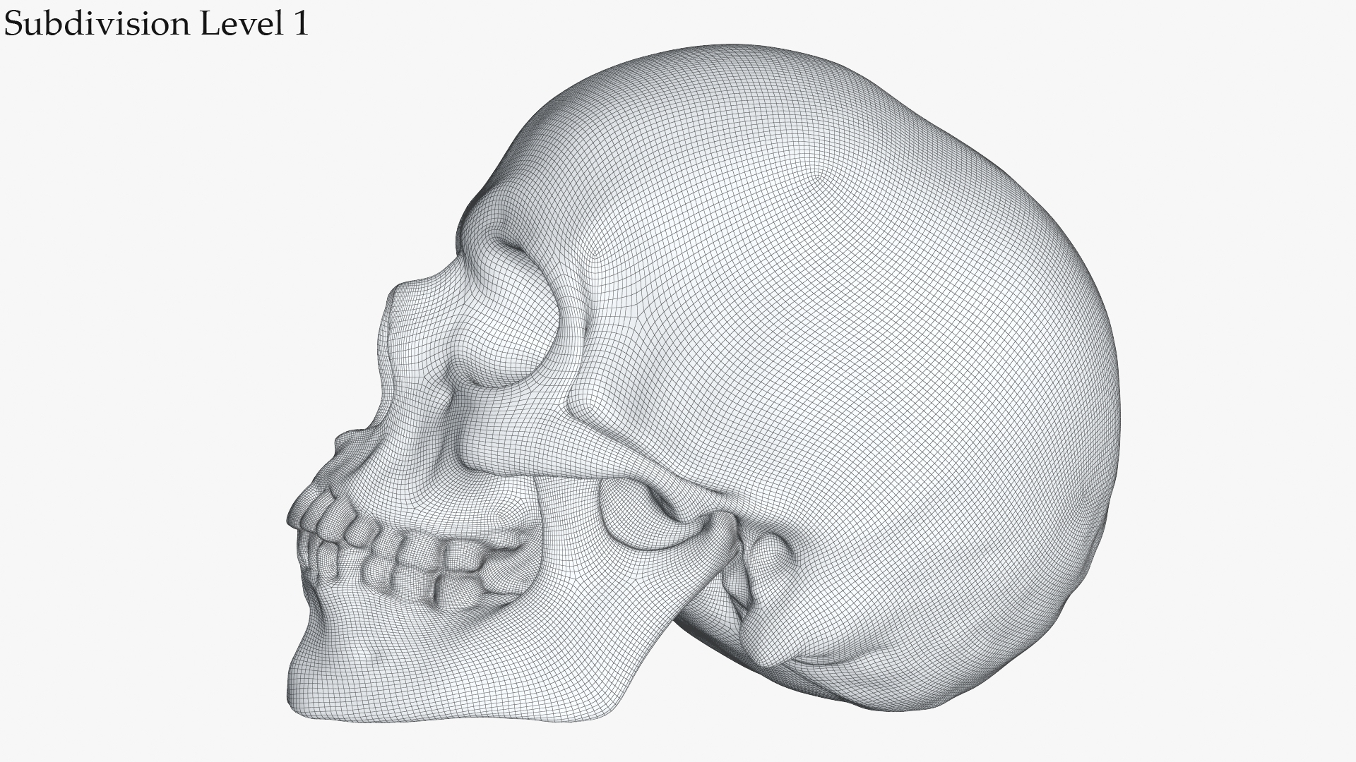 Modello 3D Teschio Umano Metallico - TurboSquid 1658029