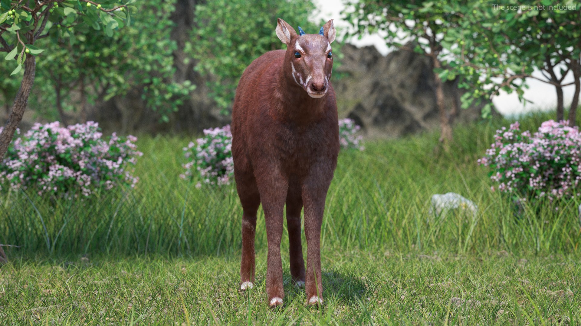 3D Saola Fur - TurboSquid 2202824