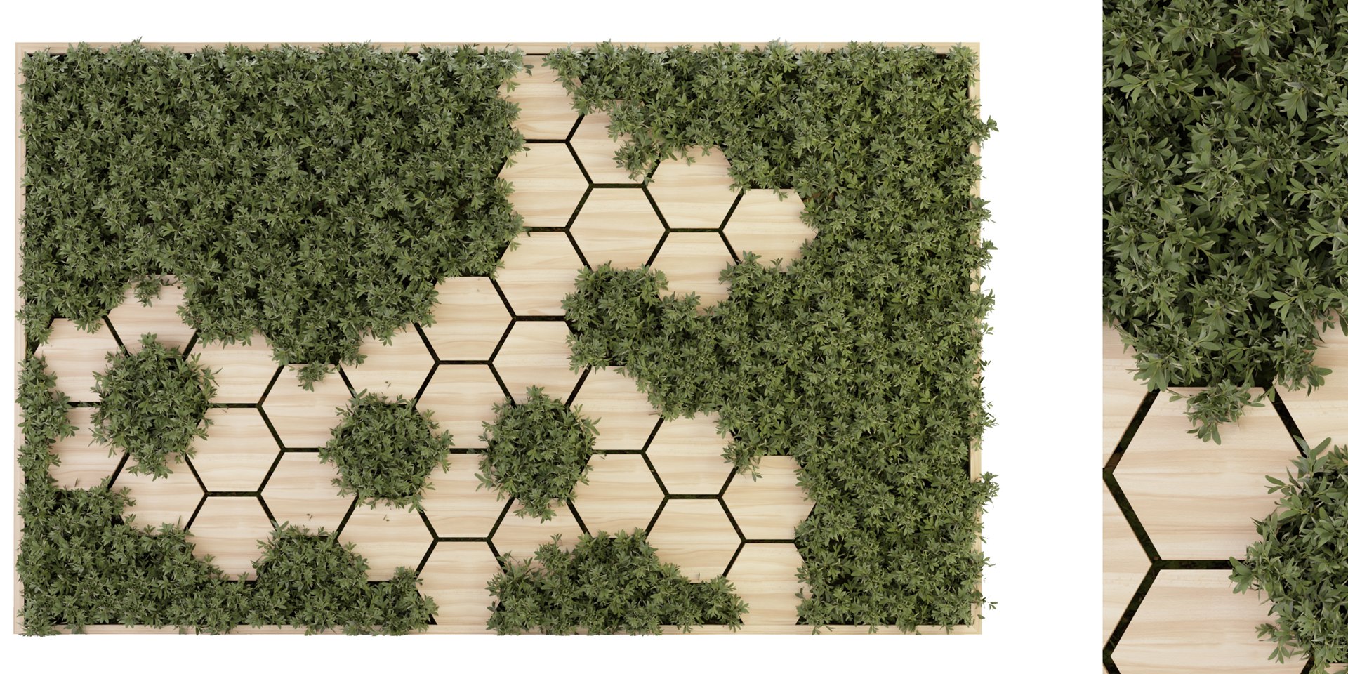 Collection Plant Vol 327 - Blender Model 3D - TurboSquid 2093076