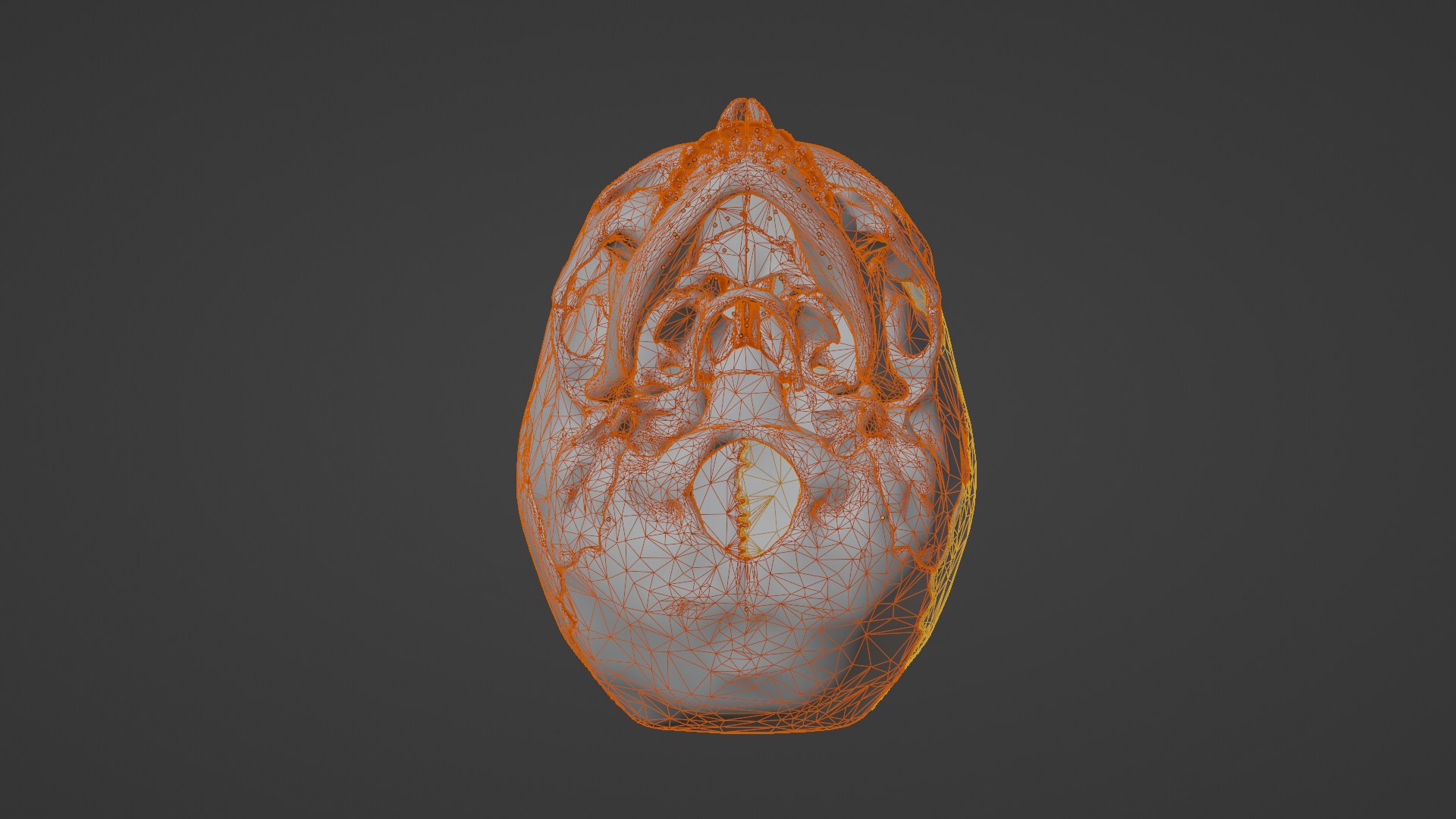 3D Model of Skull with Paranasal Sinuses model - TurboSquid 2080238
