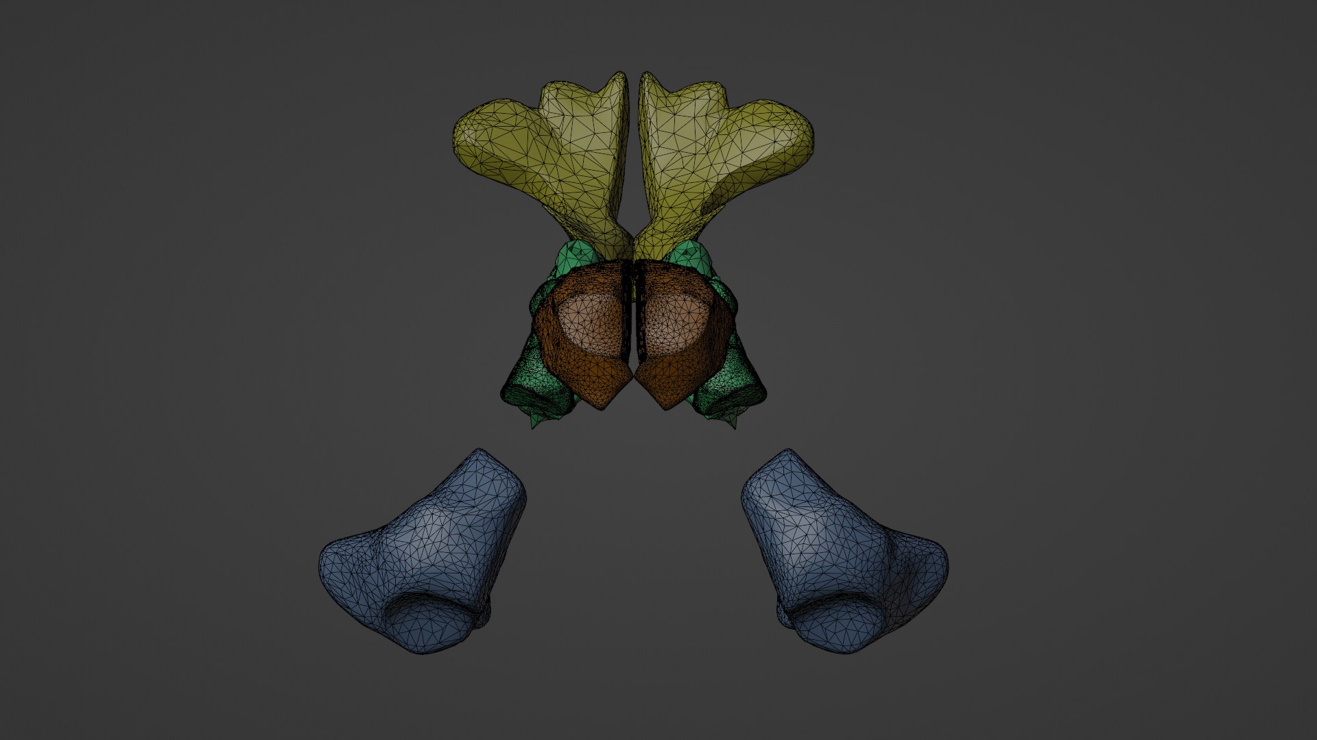 3D Model of Skull with Paranasal Sinuses model - TurboSquid 2080238