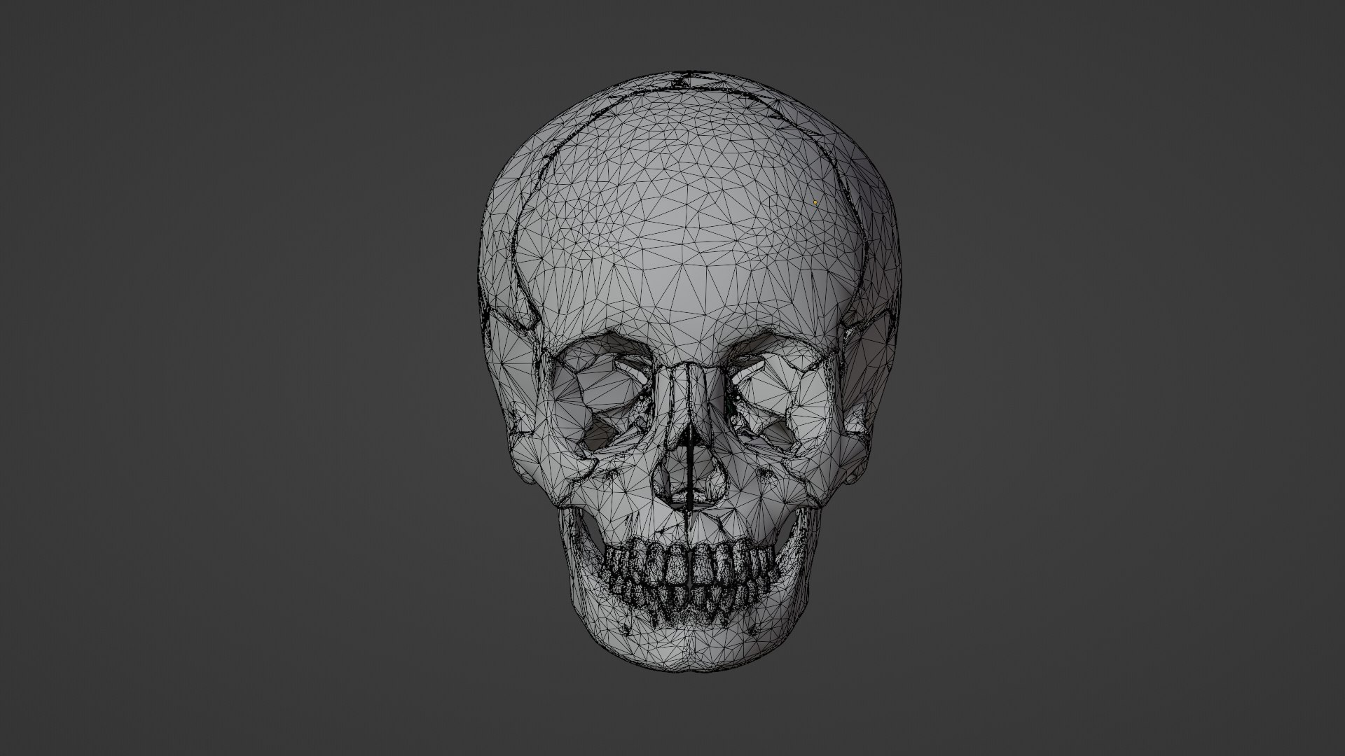 3D Model of Skull with Paranasal Sinuses model - TurboSquid 2080238