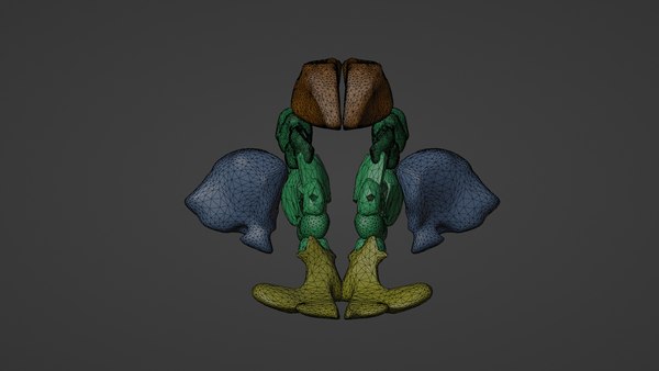 modelo 3d 3D Model of Skull with Paranasal Sinuses - TurboSquid 2080238