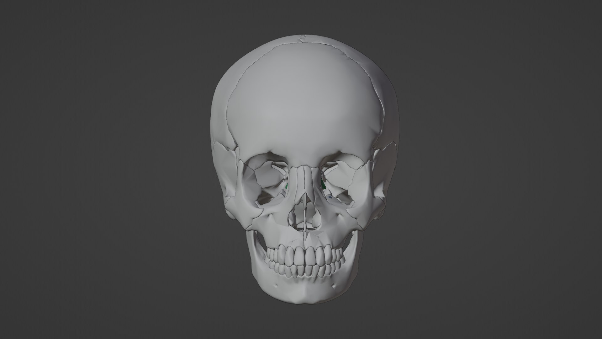 3D Model Of Skull With Paranasal Sinuses Model - TurboSquid 2080238