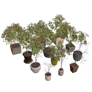 Rose Blender Models for Download | TurboSquid