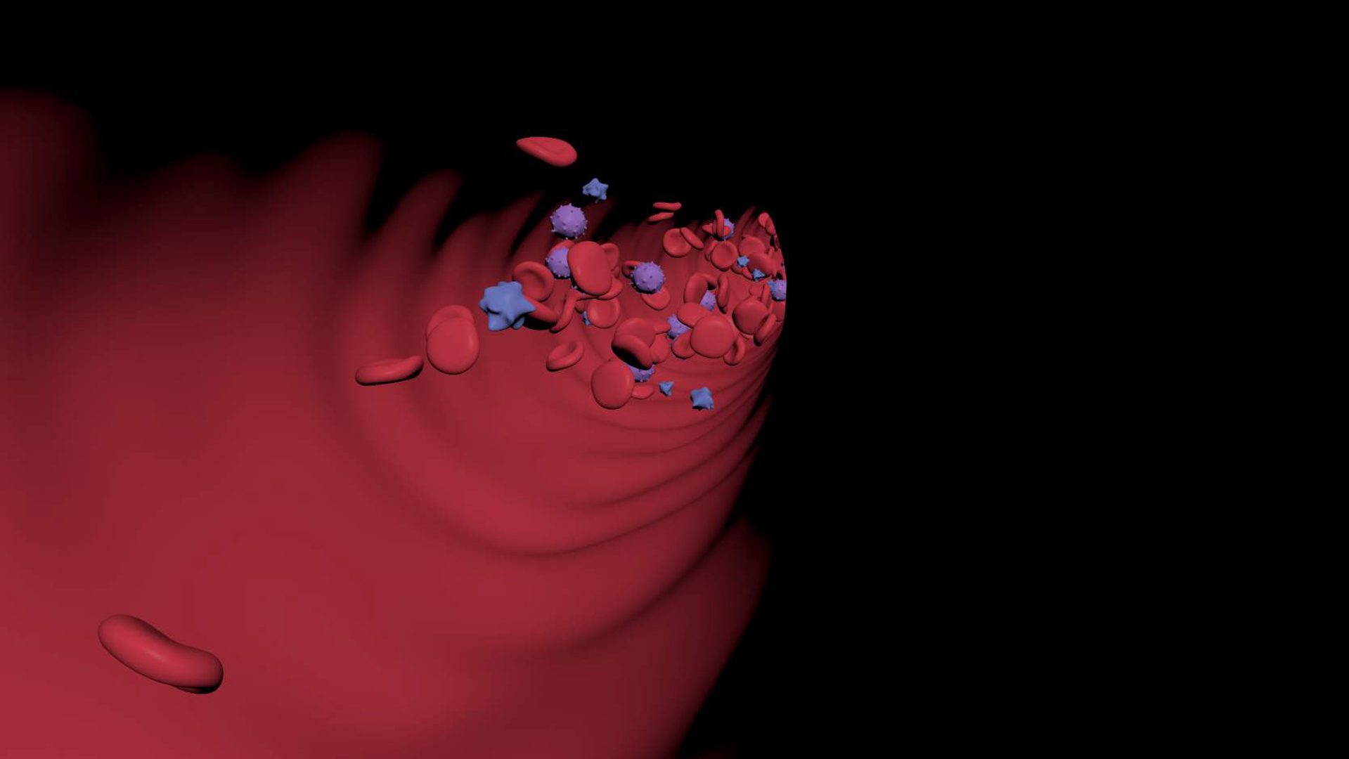 Blood Stem Micro Cells Flowing Animation 3D - TurboSquid 1812246