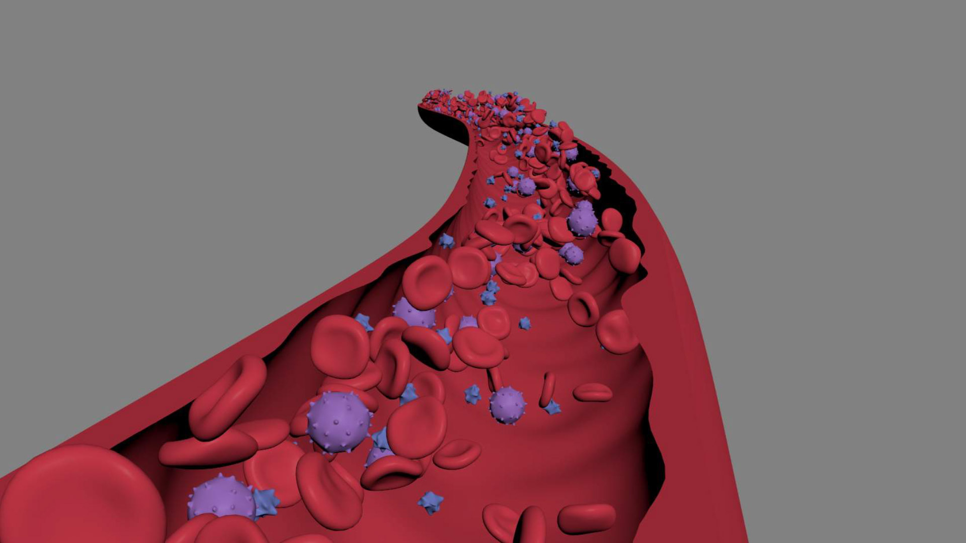 Blood Stem Micro Cells Flowing Animation 3D - TurboSquid 1812246