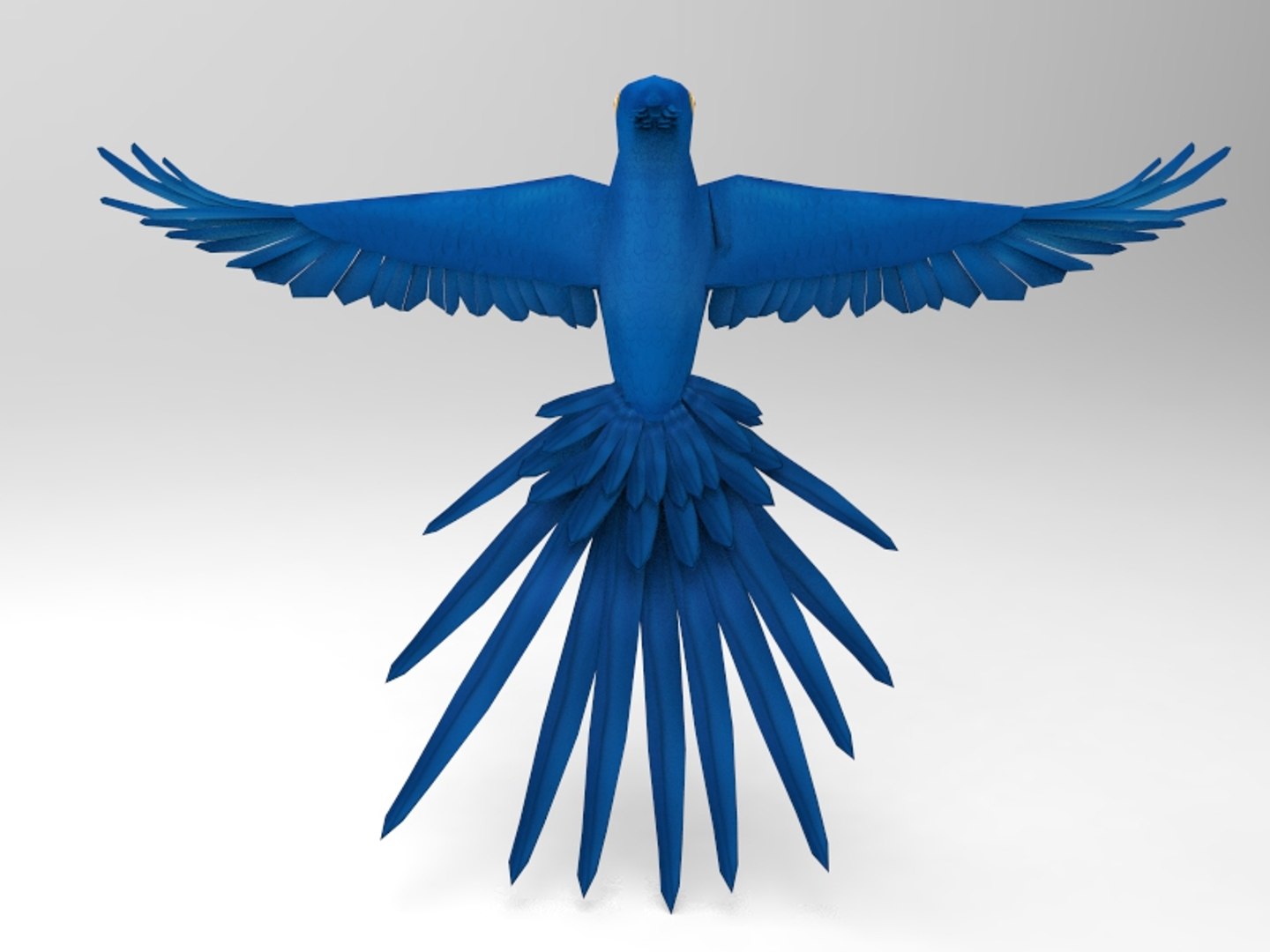 3D Bird Parrot Blue Ar - TurboSquid 1301496