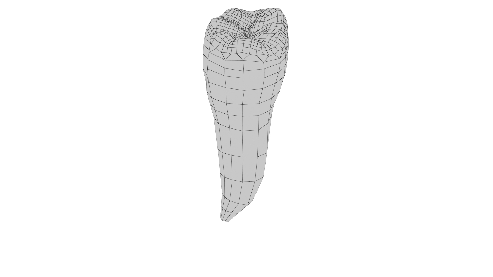 3D Model Human Teeth Lower Molar - TurboSquid 1557212