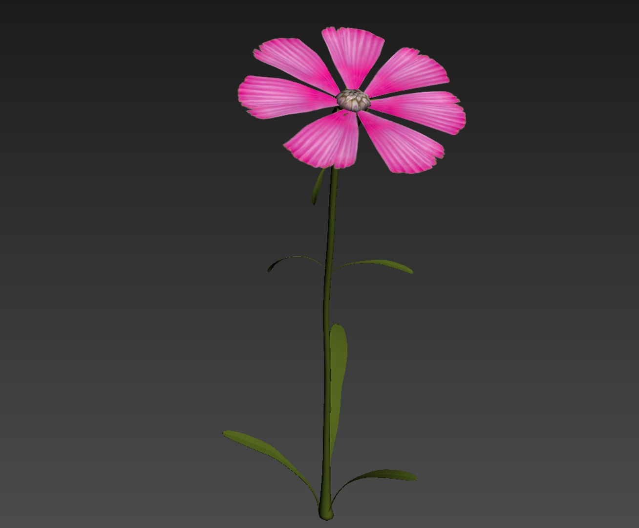 3D Flowers Animation Model - TurboSquid 1260788