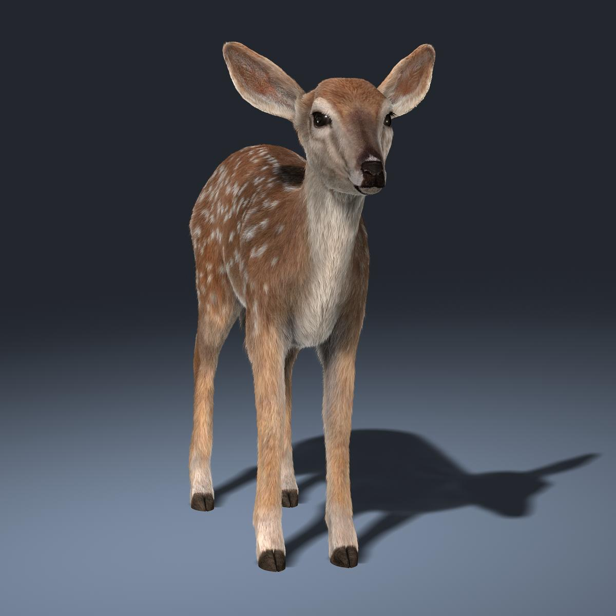 3d model fawn fur animation