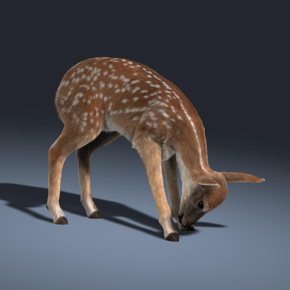 3d model fawn fur animation