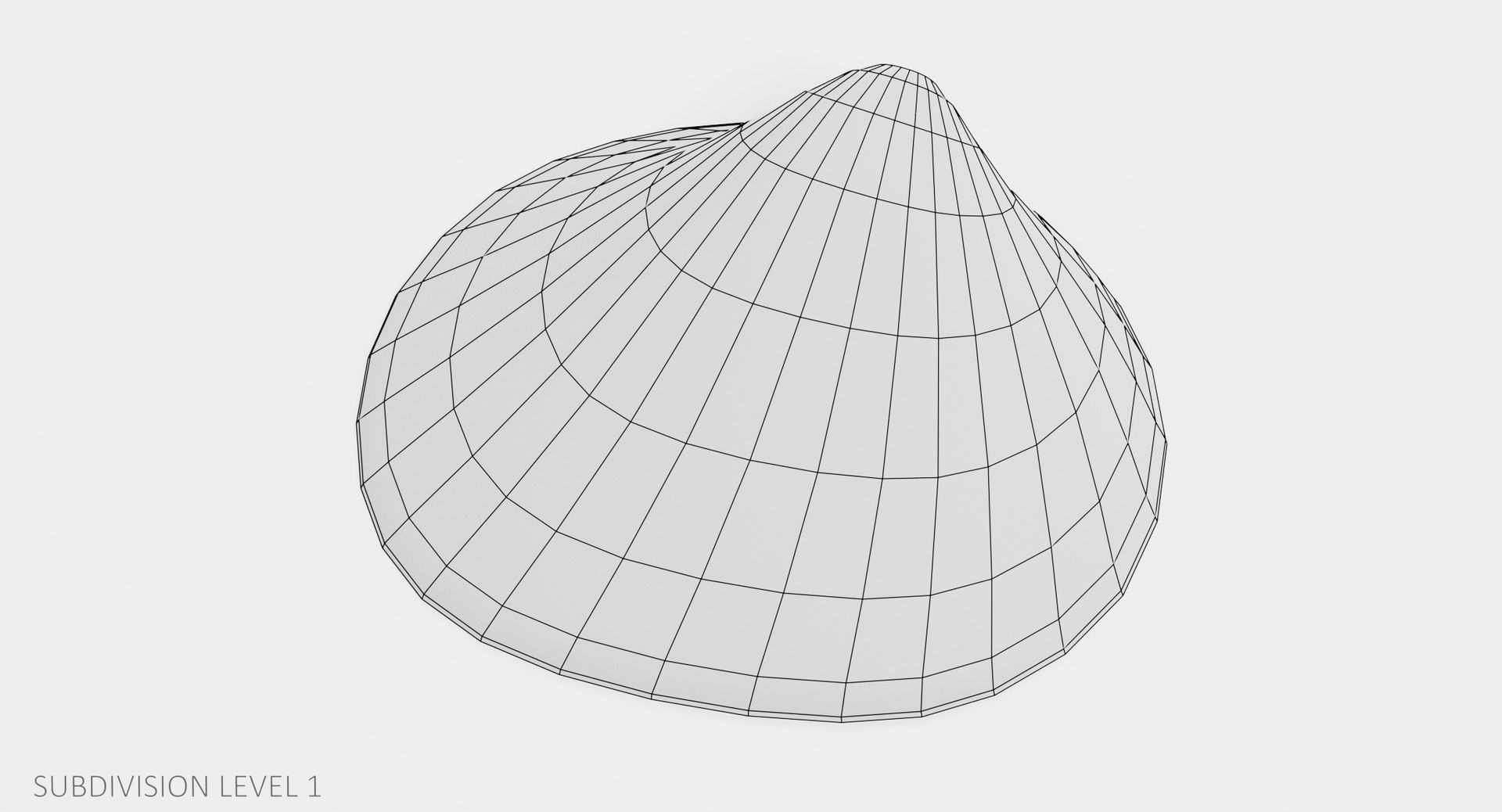 Clam Pbr 3D Model - TurboSquid 1229498