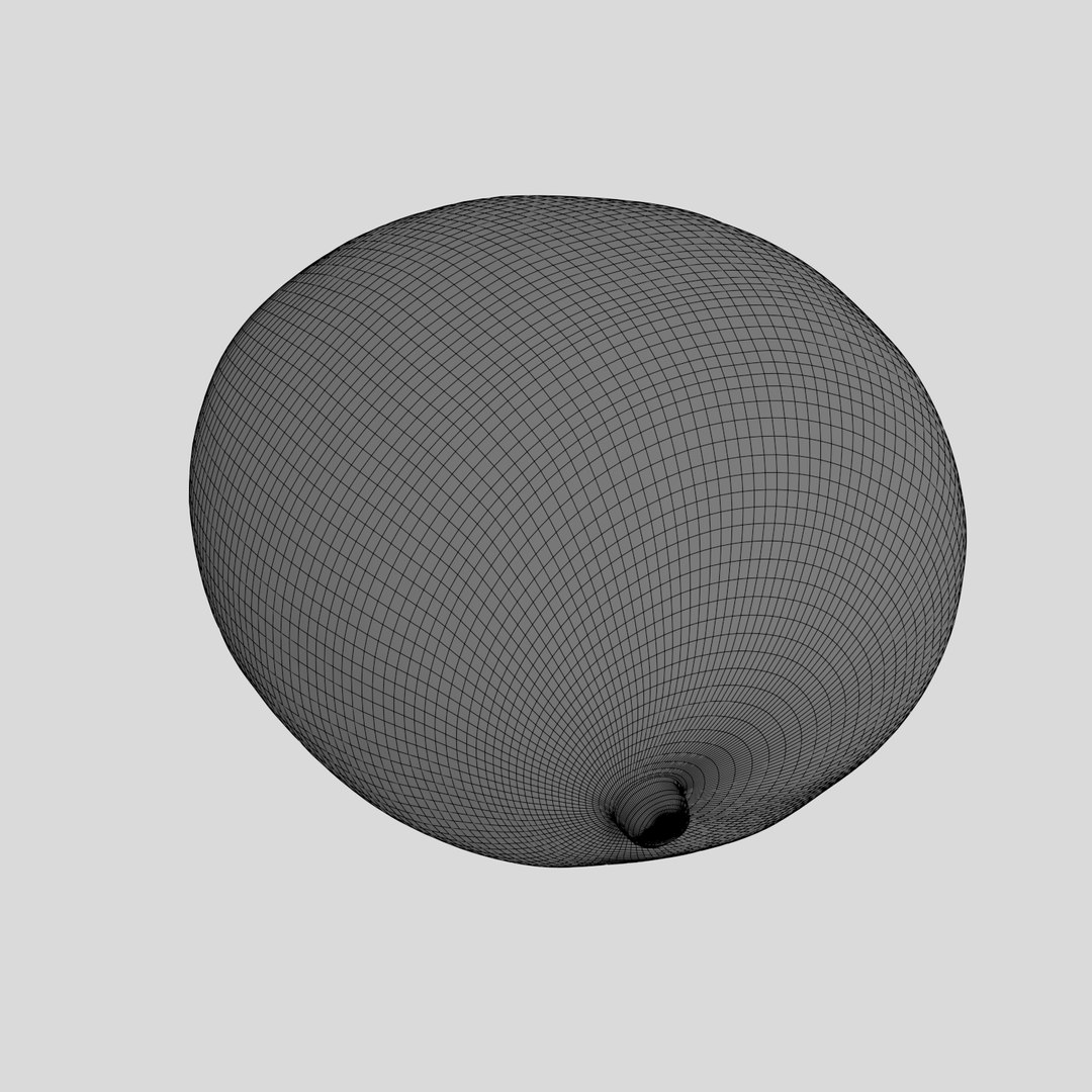 3d Mango Fruit Model