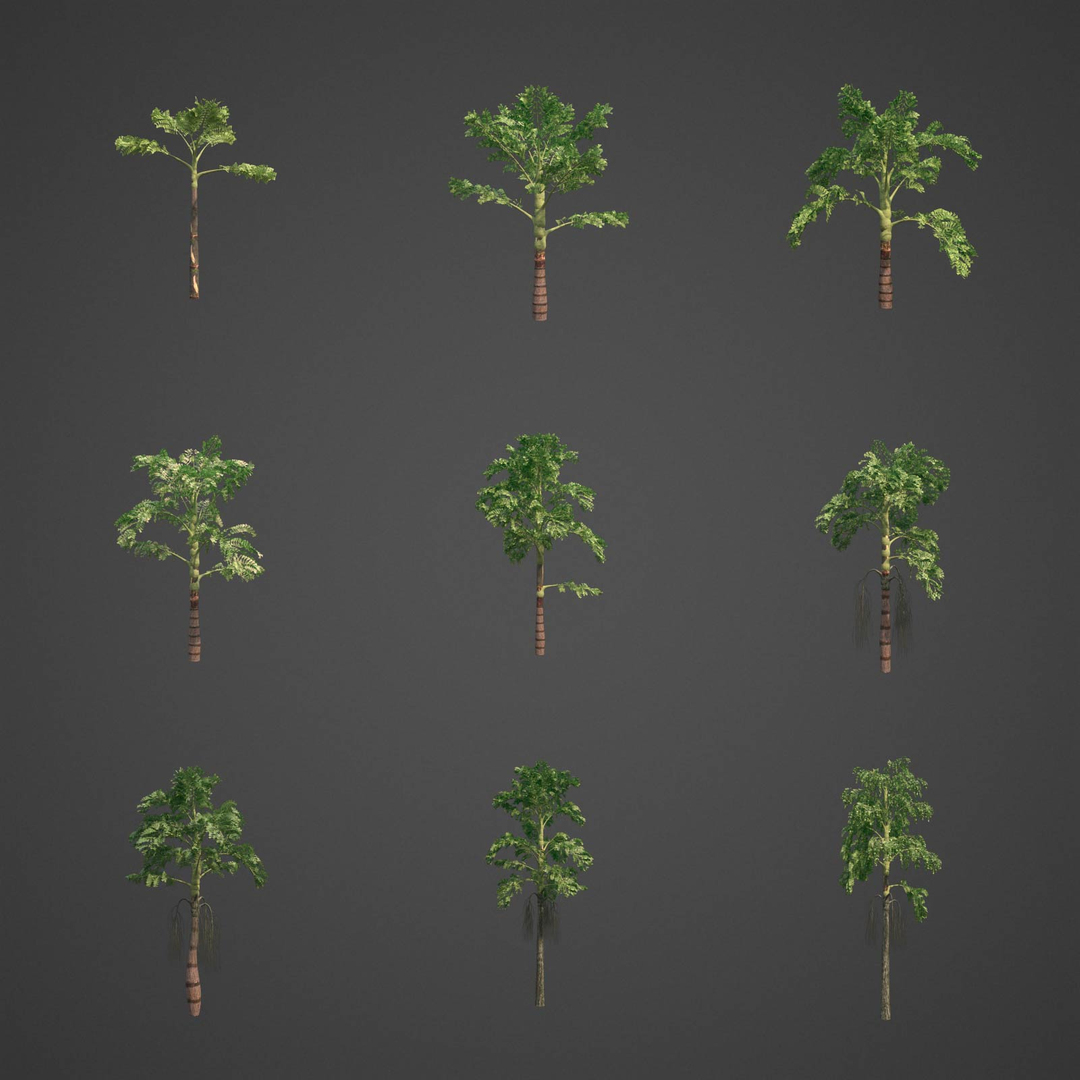 Palm tree nature 3D model - TurboSquid 1679651