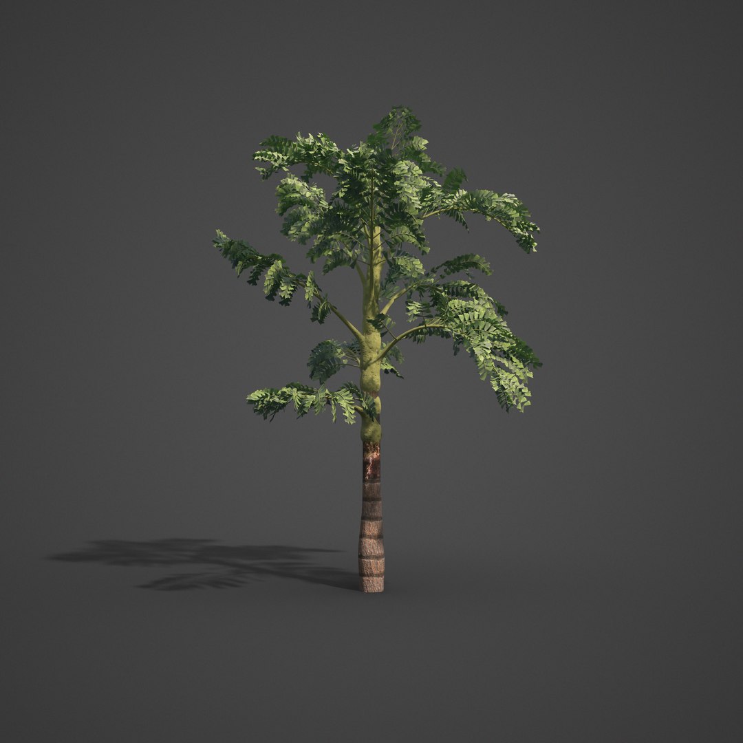 Palm tree nature 3D model - TurboSquid 1679651