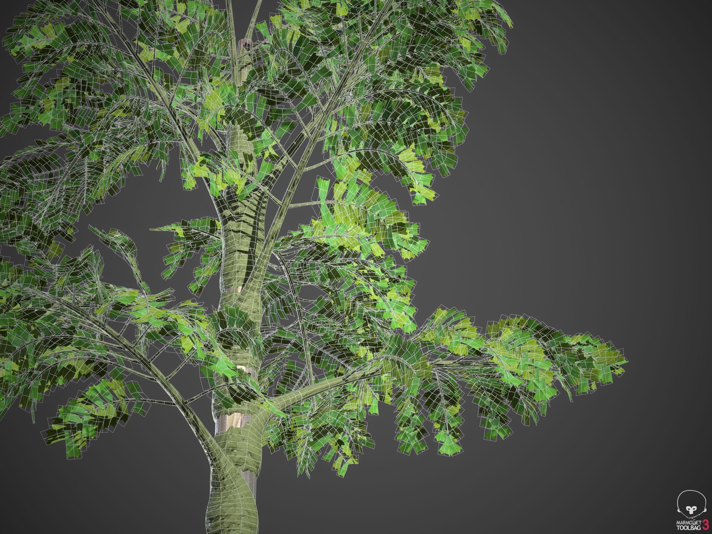 Palm tree nature 3D model - TurboSquid 1679651