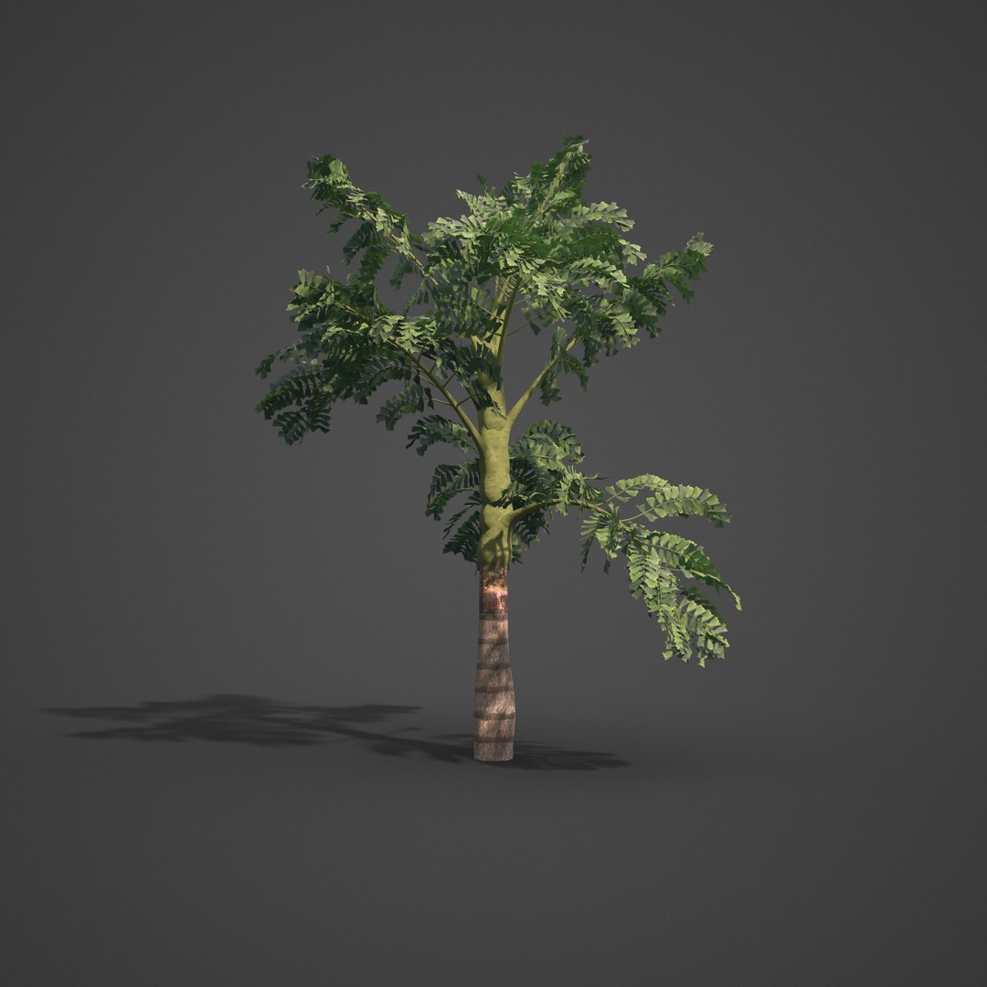 Palm tree nature 3D model - TurboSquid 1679651